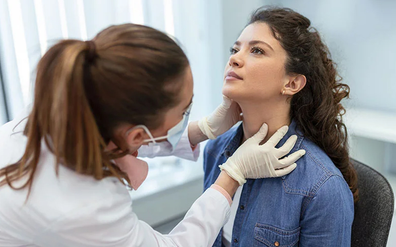 What is the Thyroid Gland and how can it be optimized? Everything you ...